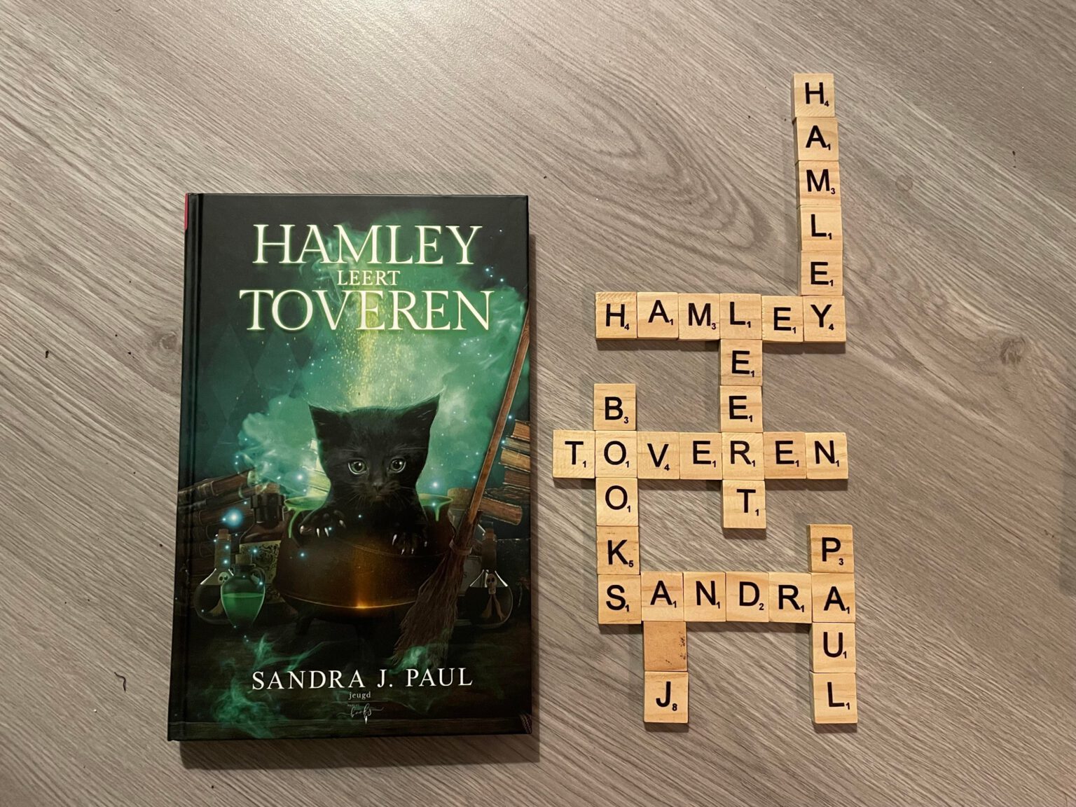 Hamley leert toveren – Sandra J. Paul