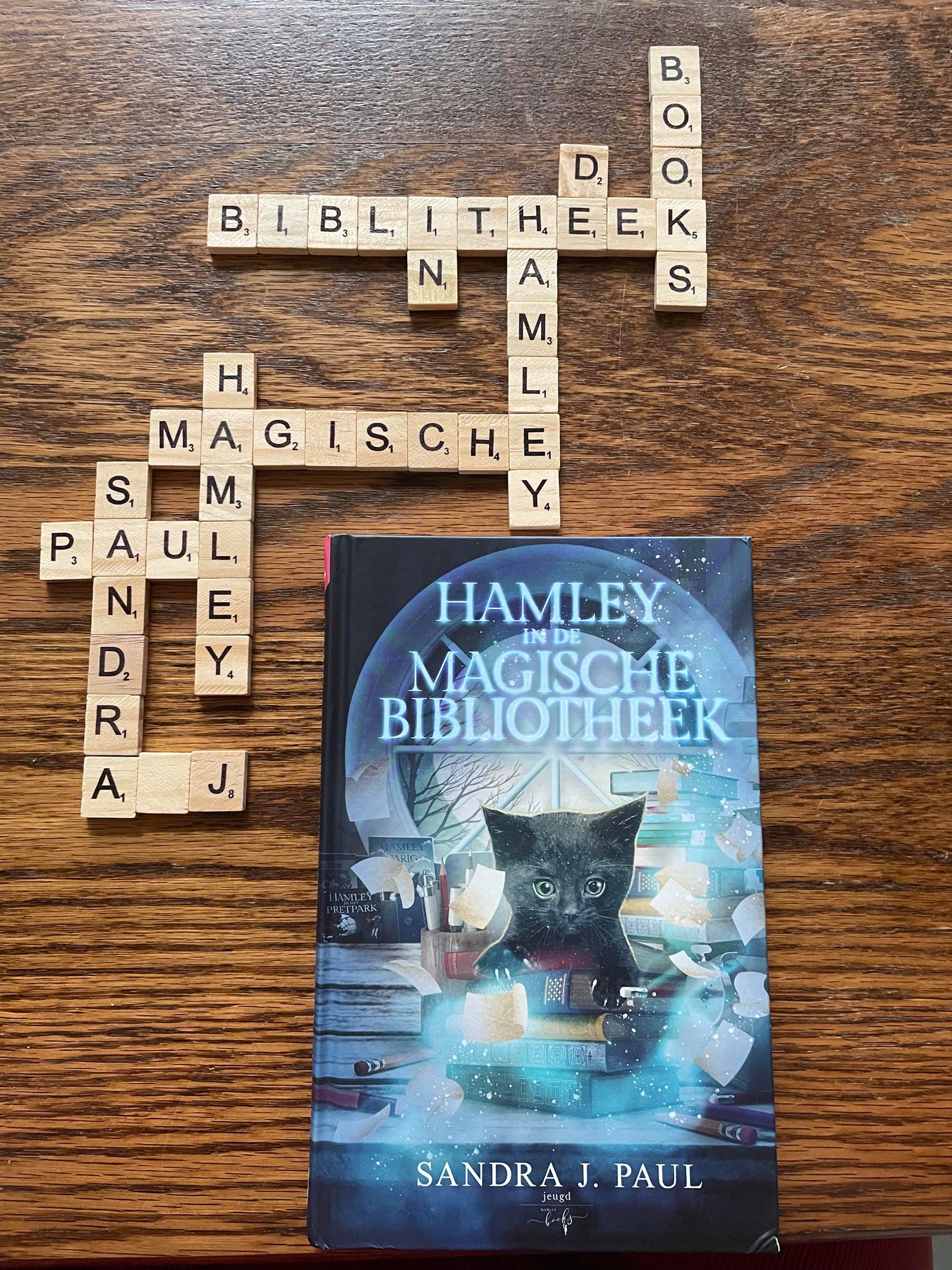 Hamley in de magische bibliotheek – Sandra J. Paul